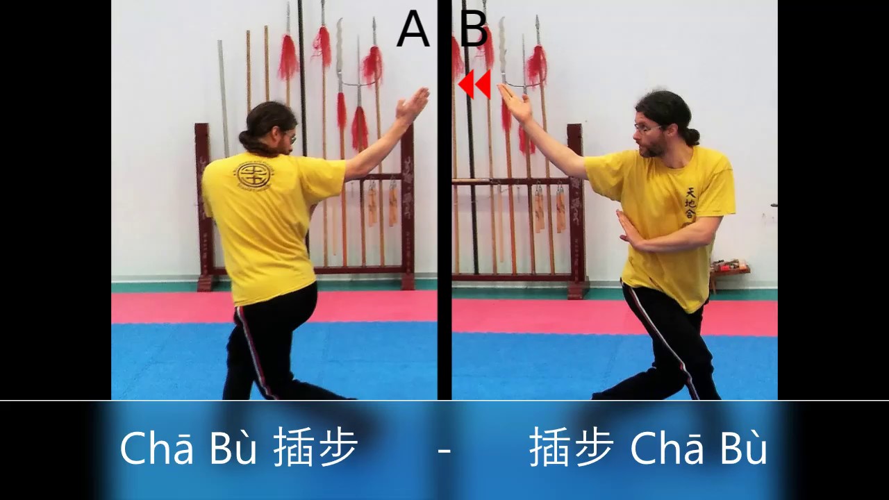 Cha Bu - Che ti tui Exercise Kung Fu - YouTube
