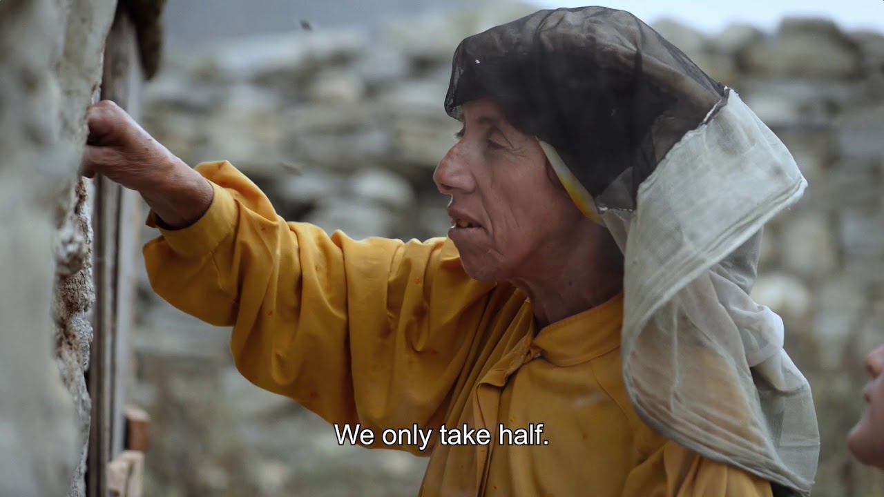 Honeyland (2019) Official Trailer HD - YouTube