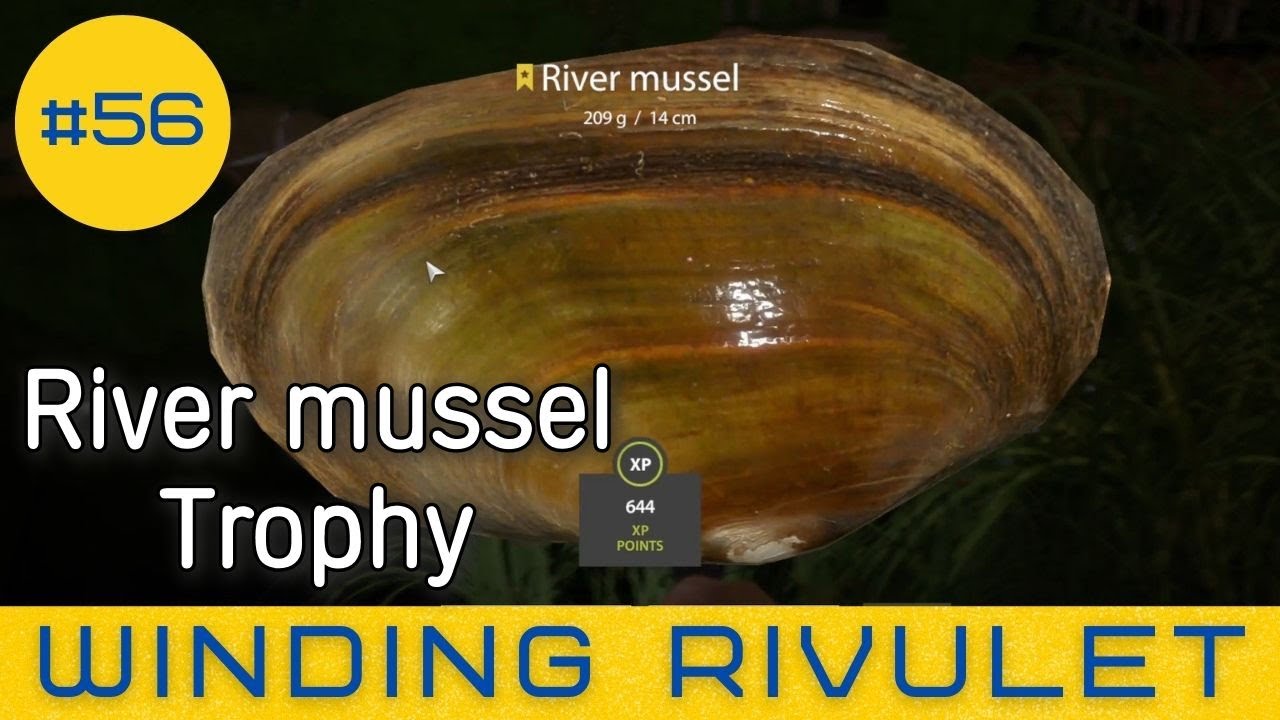 Russian Fishing 4 - Winding Rivulet - River mussel Trophy - #56 - YouTube