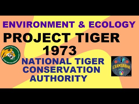 Project tiger 1973|National tiger conservation authority|NTCA|tiger ...