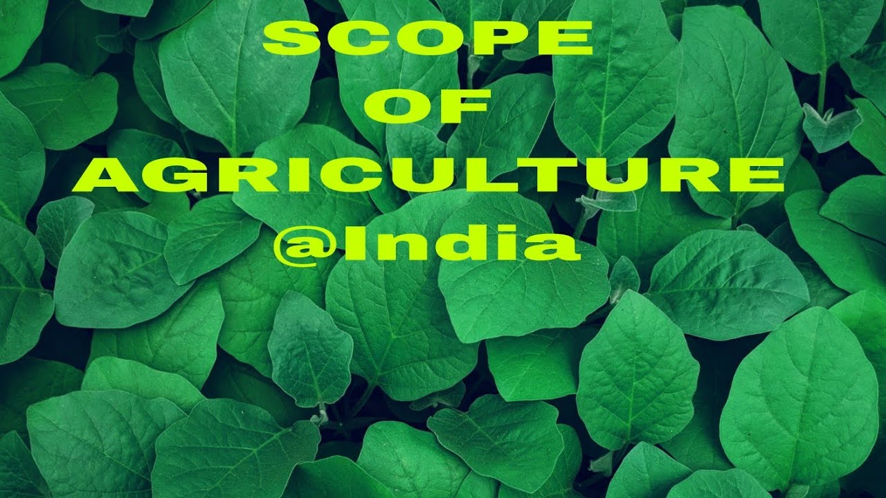 What is the Scope of Agriculture??? - YouTube