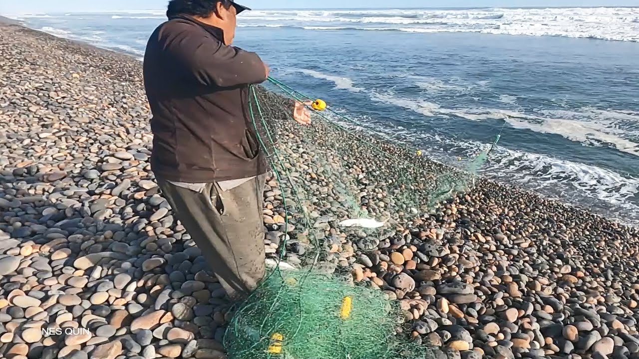 CALADA de RED en el MAR & Pesca con Trasmallo - YouTube