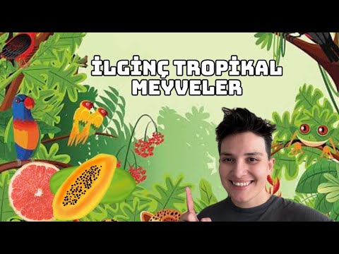 DÜNYANIN EN GARİP TROPİKAL MEYVELERİNİ DENİYORUM!