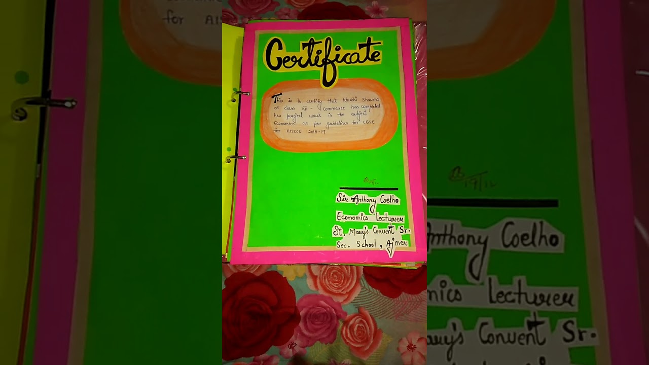 Class 12| economics project | health expenditure of rajasthan - YouTube