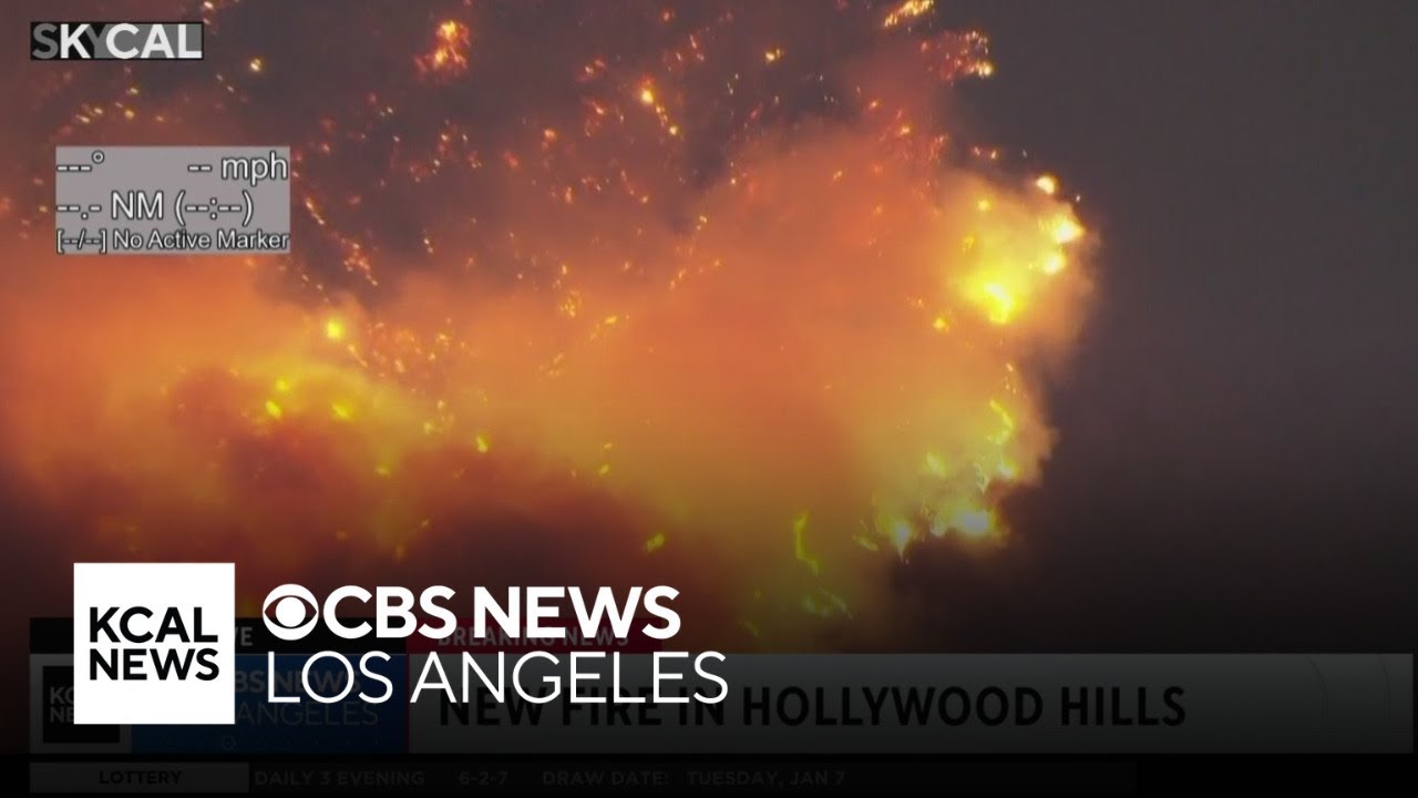 Sunset Fire sparks in Hollywood Hills, forcing evacuation orders - YouTube