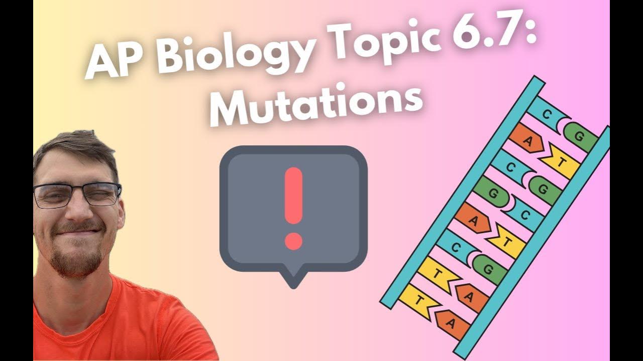 6.7 Mutations - AP Biology - YouTube