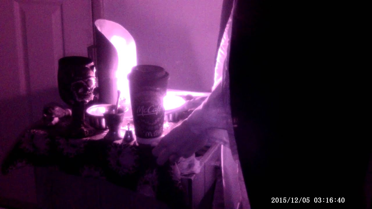 lupercus/imbolc ritual - YouTube