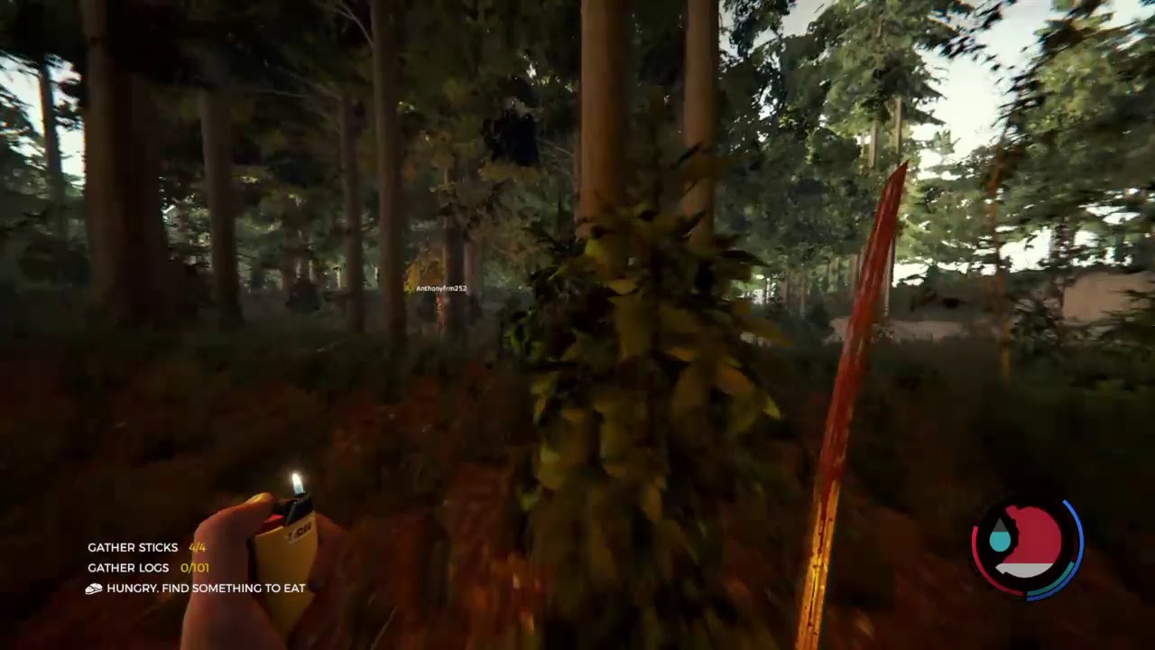 The forest live ;) - YouTube