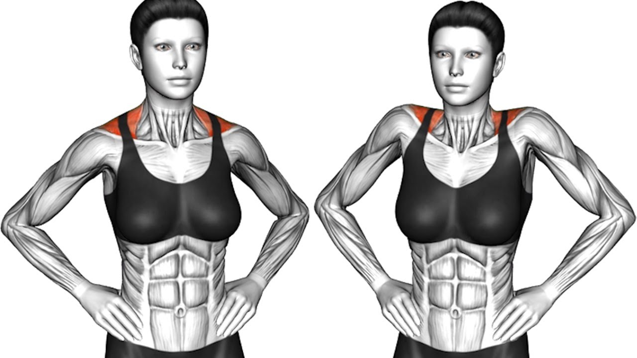 Best 10 Exercises To Reveal Defined Collar Bones In 2 Weeks At Home best-10-exercises-to-reveal-defined-collar-bones-in-2-weeks-at-home