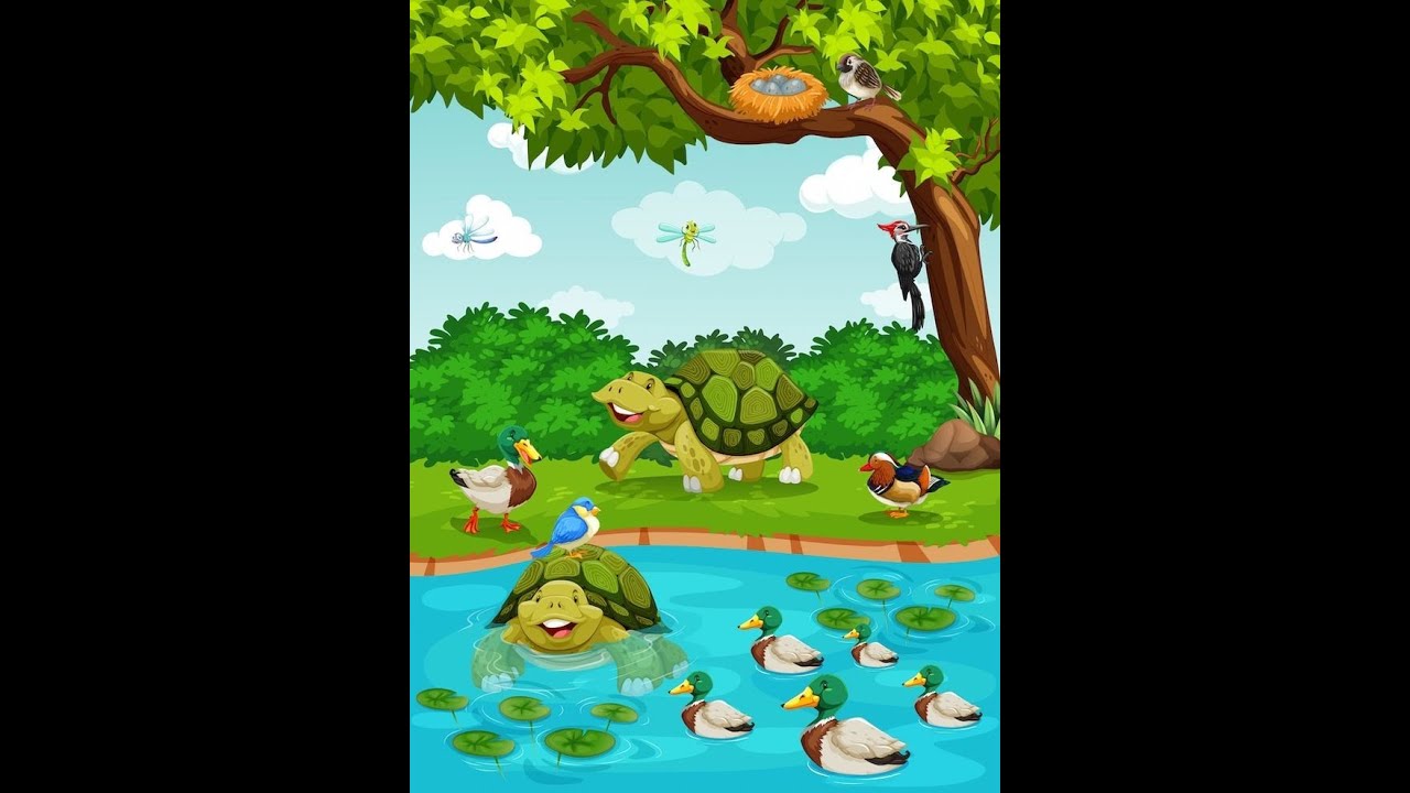 "The Adventures of Duck and Turtle: A Tale of Friendship" #duck #turtle ...