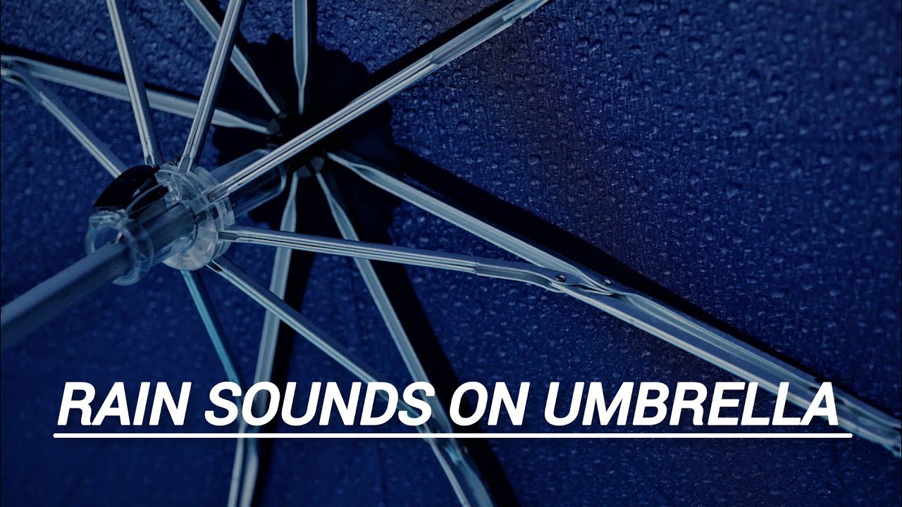 RAIN SOUNDS ON UMBRELLA ☔ || RAINFALL NOISE FOR SLEEP || COMFY AMBIENCE ...