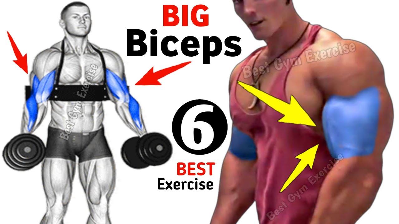6 Killer Biceps Workout At Gym - How To Build Bigger Biceps Fast - YouTube
