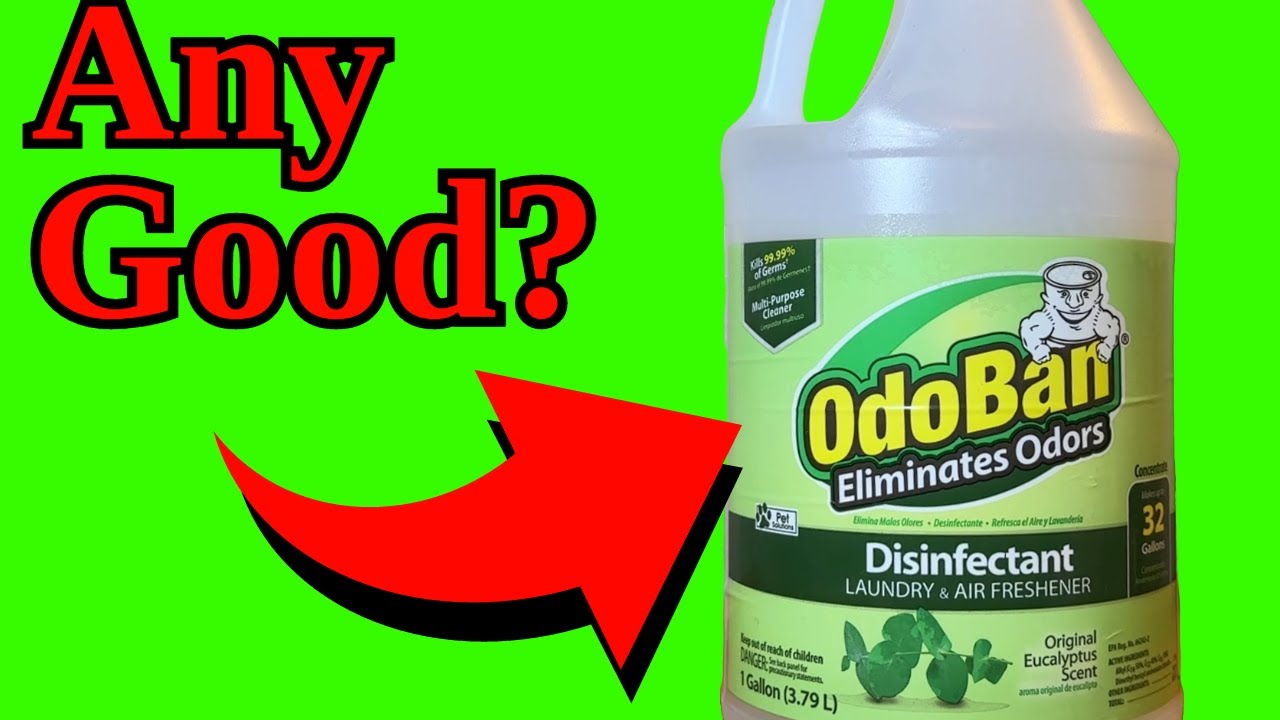 OdoBan Disinfectant Concentrate and Odor Eliminator, 4 Gallons ...