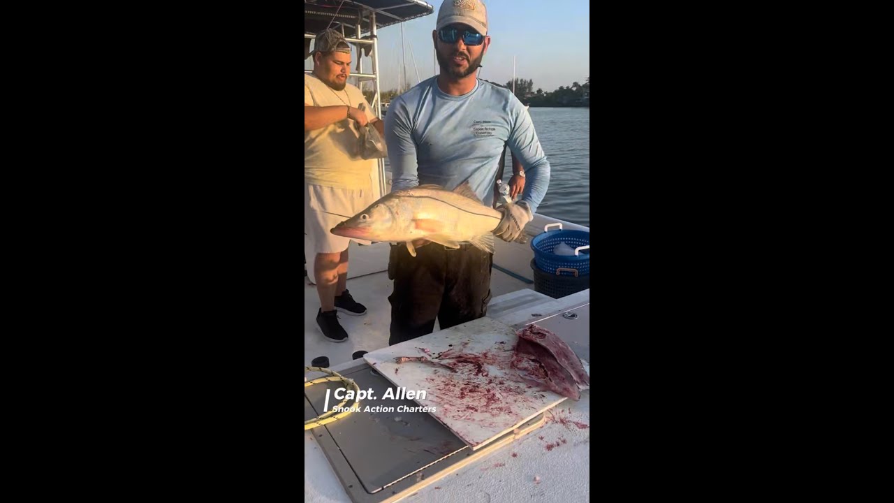 How to Fillet a Snook - YouTube