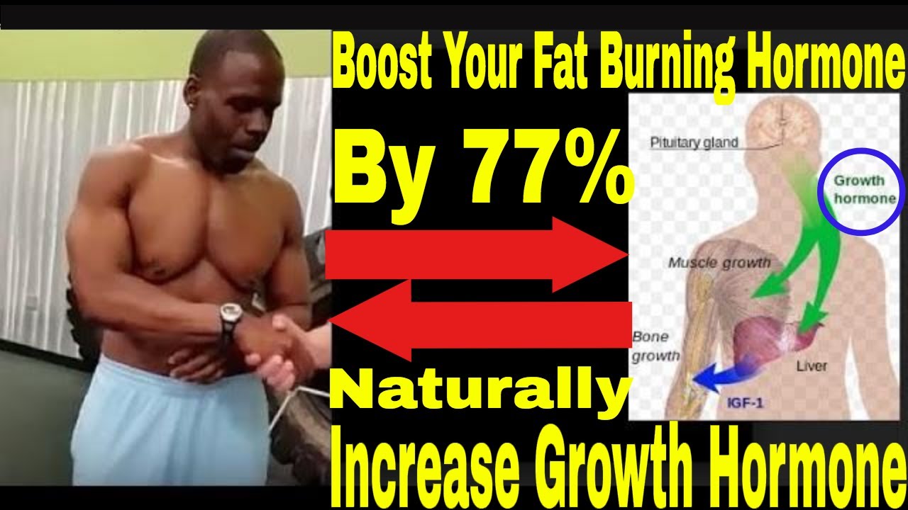 Growth Hormone Boost Naturally? How to Boost one of your best Fat ...