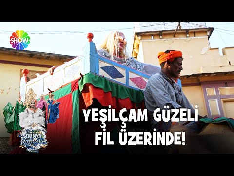 Yeşilçam'ın parlayan güneşi Banu Alkan'ın fil ile gösterisi | #banualkan  Kolajı Dünya Güzellerim