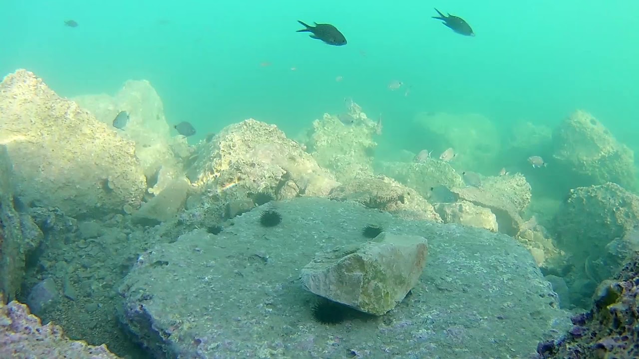 Pecanje na moru (Bar,Crna Gora),Fishing in Montenegro - YouTube