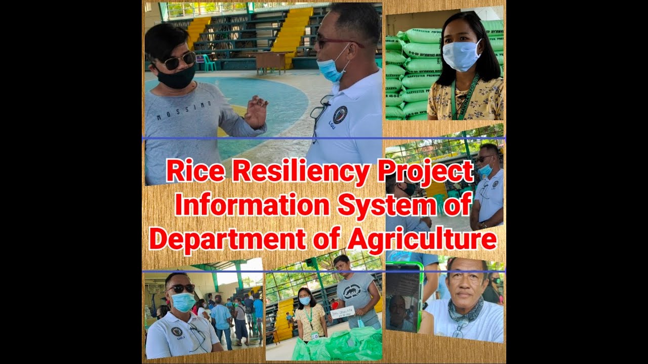 Dry run for Rice Resiliency Project Information System - YouTube