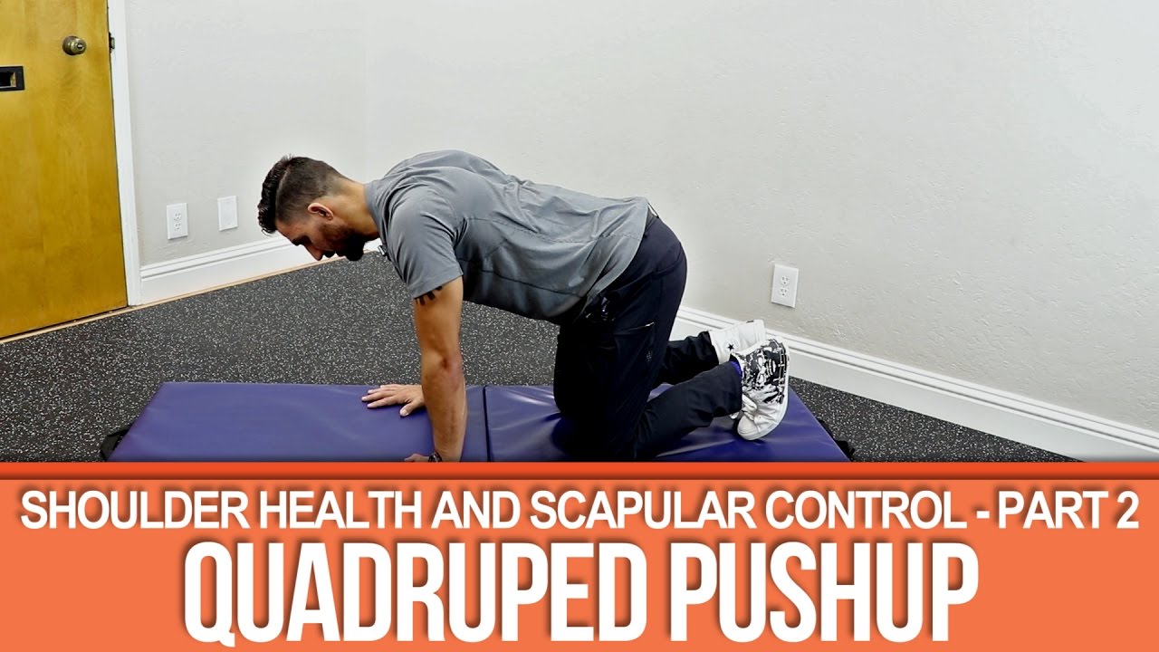 How to strengthen shoulders and scapular control - Part 2 quadruped ...
