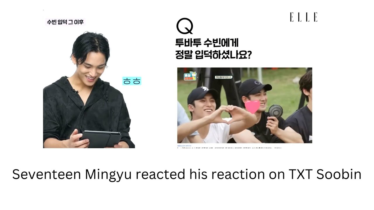 Seventeen Mingyu reacted his reaction on TXT Soobin! #mingyu #soobin # ...