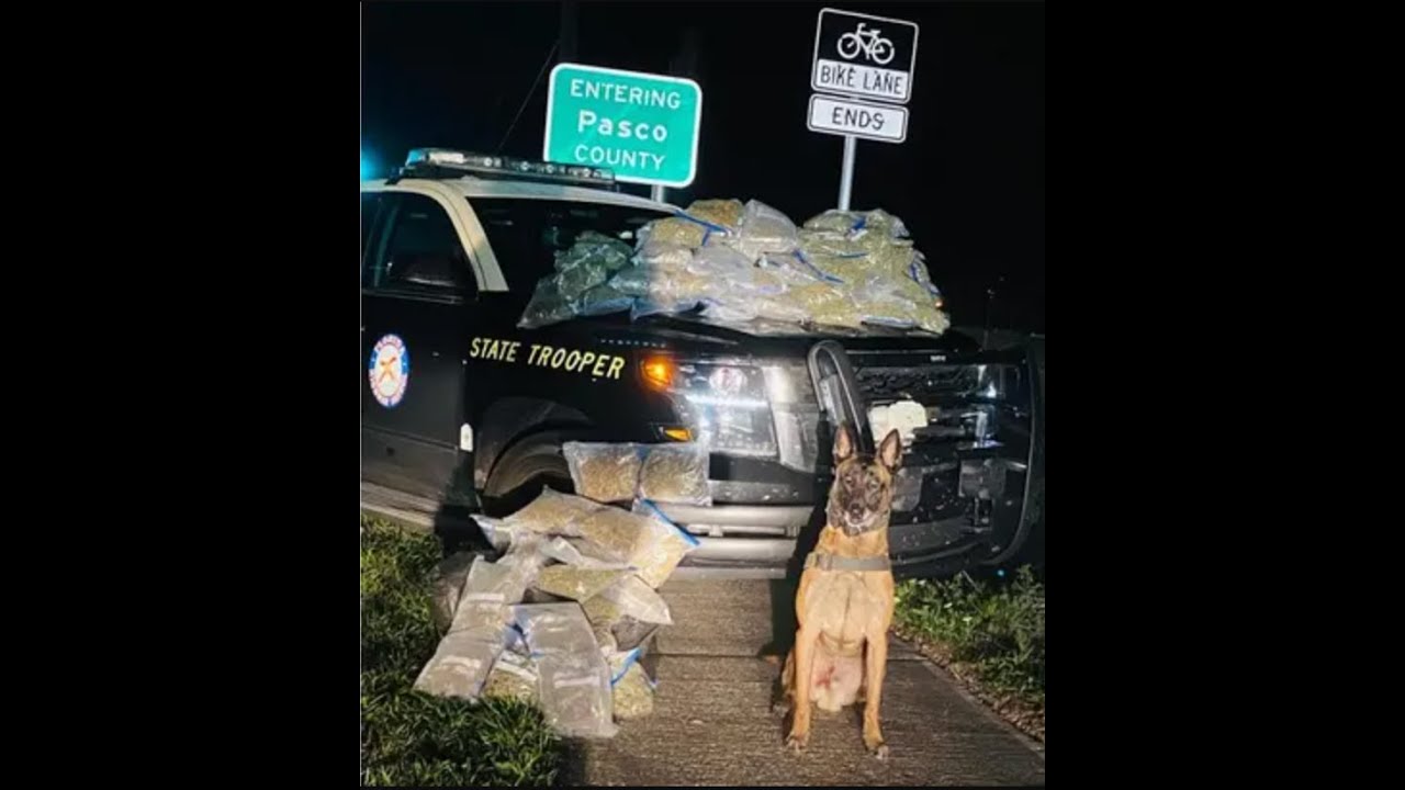 🐕‍🦺 1HR police chases(ASMR), Florida Highway Patrol Criminal ...