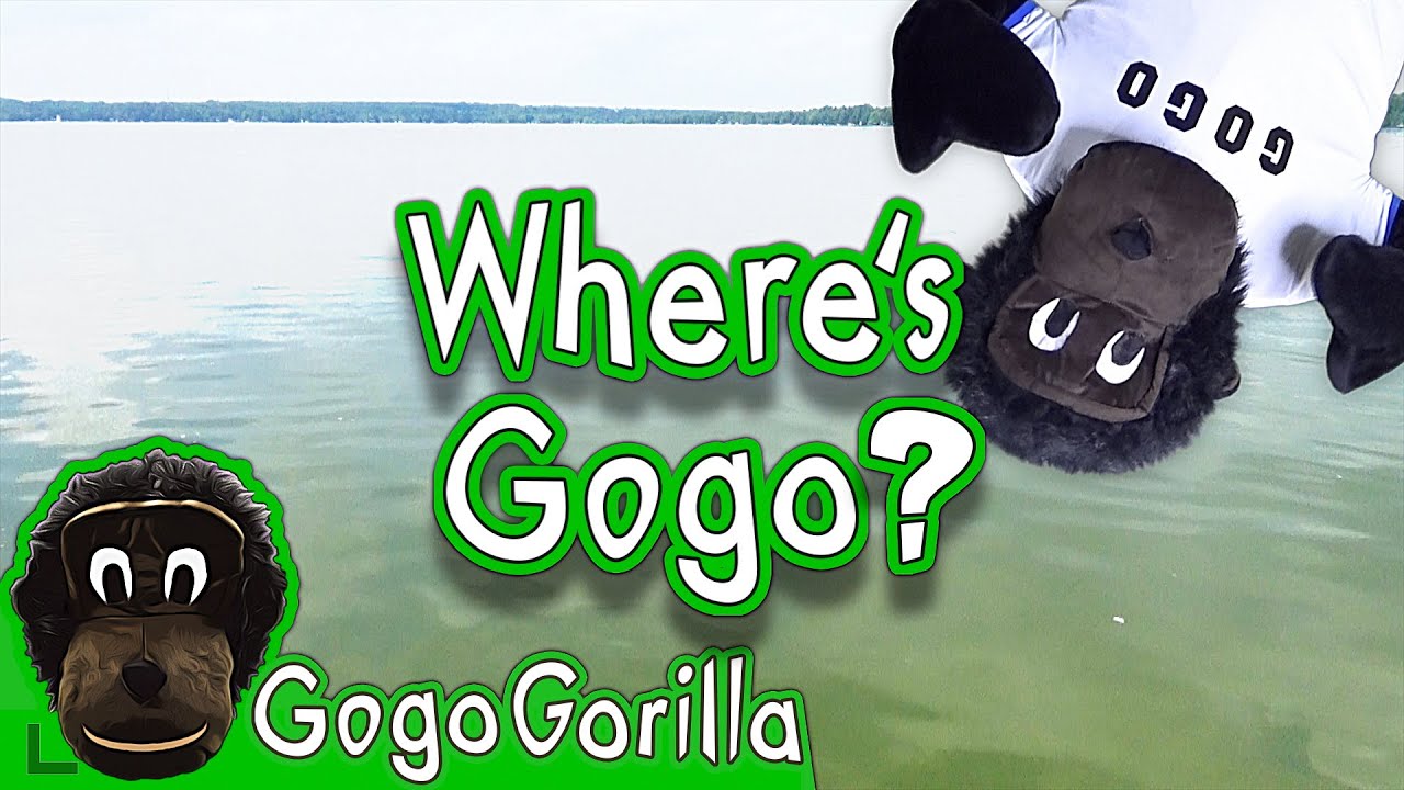 Where's Gogo? | Did You Just See Gogo Gorilla Paddle By? - YouTube