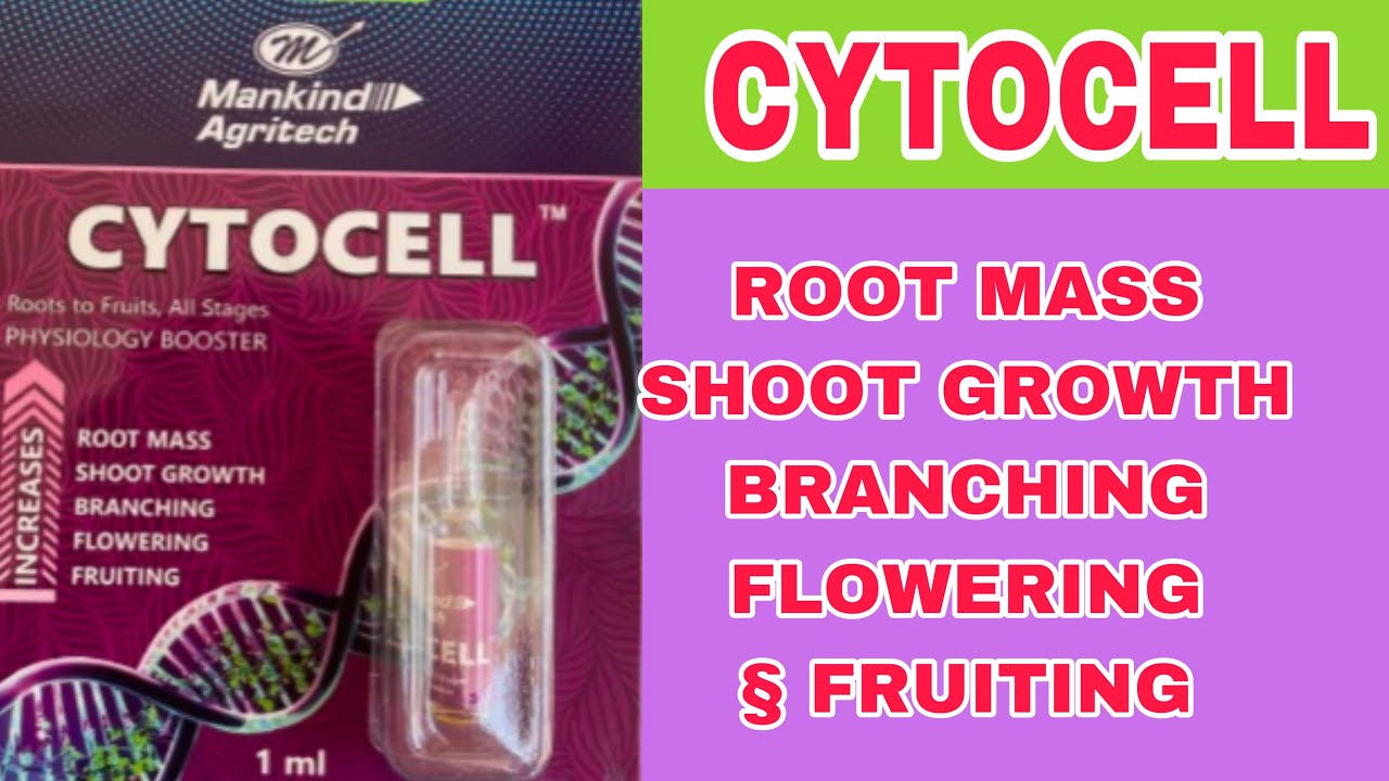 CYTOCELL (MankindillaAgritech)ROOT MASSSHOOT GROWTHBRANCHINGFLOWERING ...