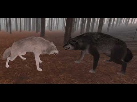 Wolf fight vrc skit test - YouTube