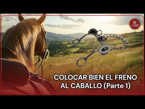 🤓 Así se coge un caballo de manera correcta ✅