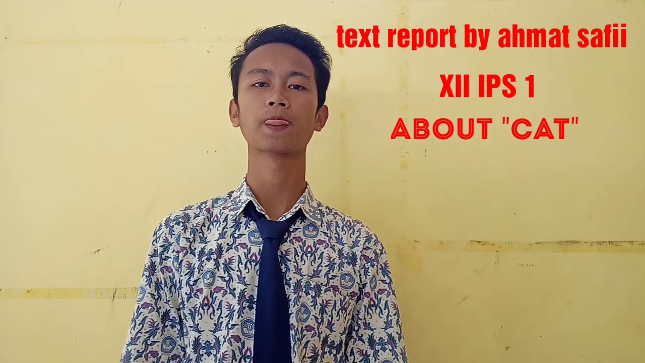 Report Text, Report about Cats - YouTube