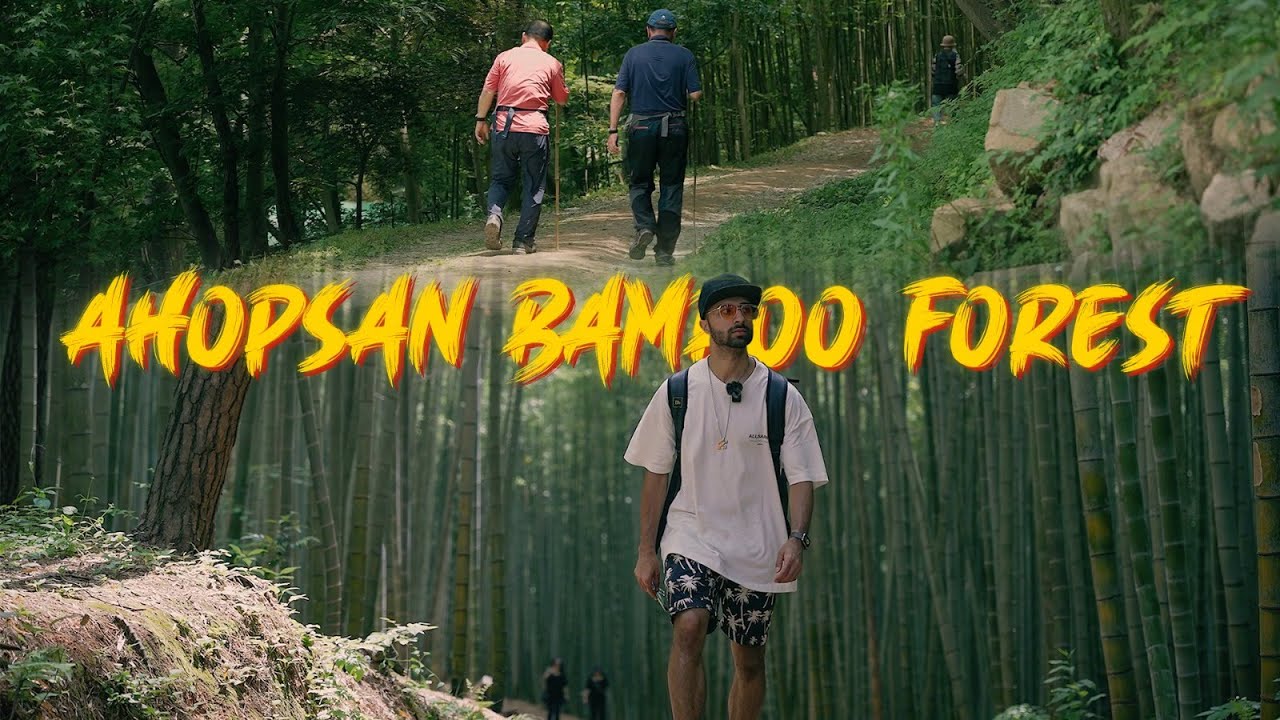 Visiting the Famous Ahopsan Bamboo Forest in Busan | #southkorea # ...