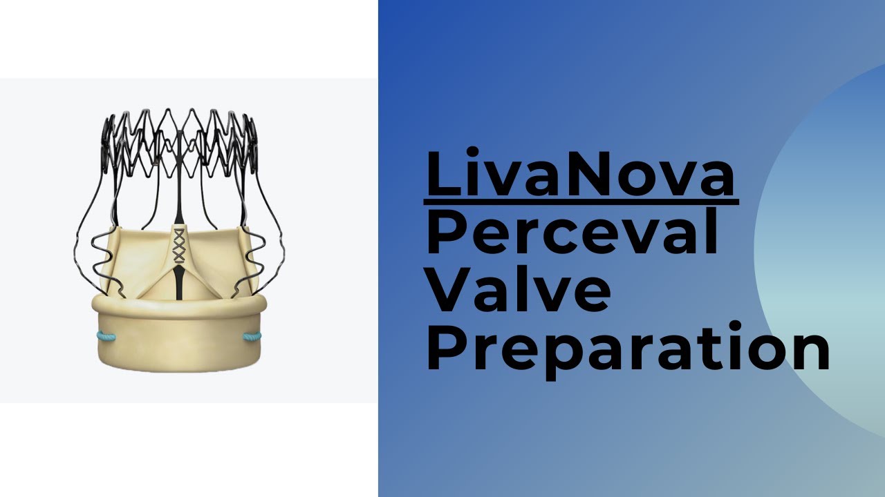 LIVANOVA PERCEVAL VALVE PREPARATION FOR IMPLANTATION - YouTube