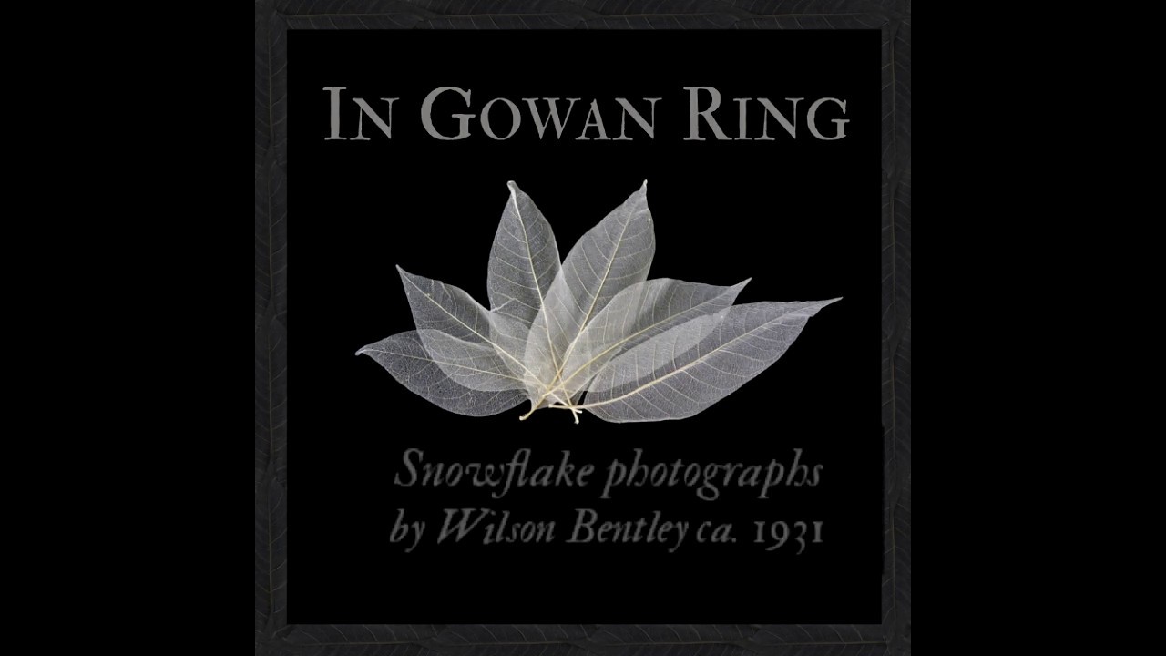 'WINTER FLOWERS' by In Gowan Ring (from Moonlit Missive vol. 25) - YouTube