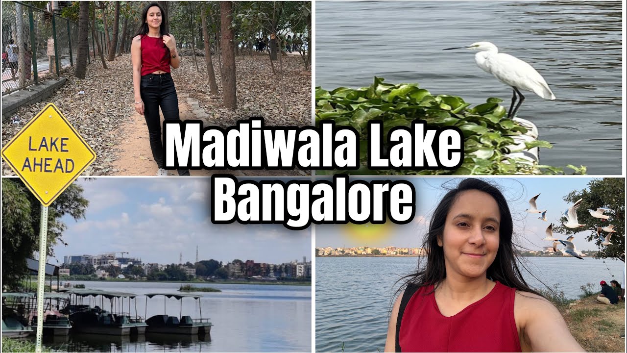 Madiwala Lake, Bangalore || BTM Lake || Boating at Madiwala Lake 🚣‍♀️ ...
