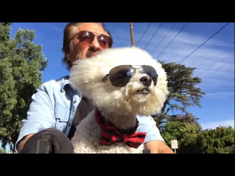 Ray Comfort: Good, Bad, or Ugly? - YouTube