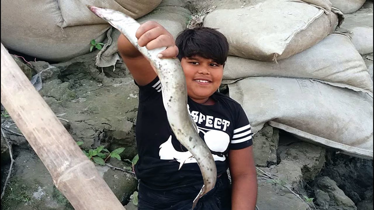 Amazing River Baim Fishing Skill । নদী থেকে বাইম মাছ ধরা । Real ...