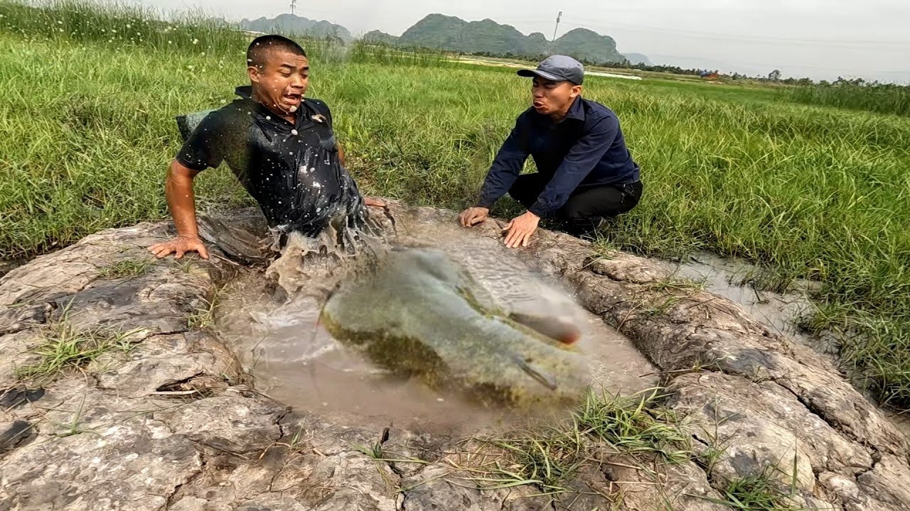 QUYEN FISHING195 | 2 young men panicked and ran away while catching ...