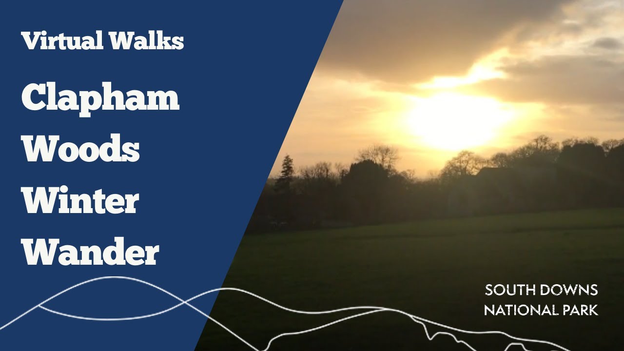 Winter Solstice Walk through Clapham Wood - YouTube