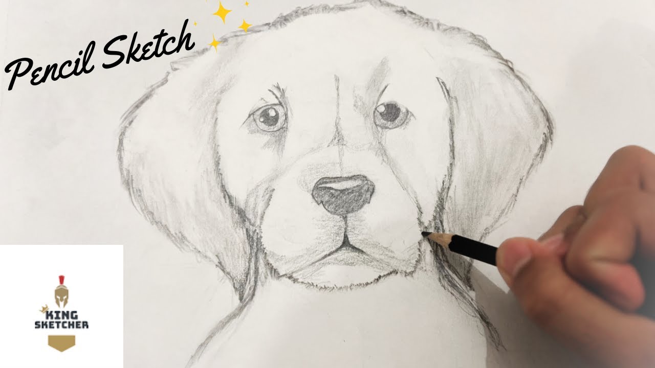 How to draw a Dog | Puppy | Sketch tutorial | King Sketcher - YouTube