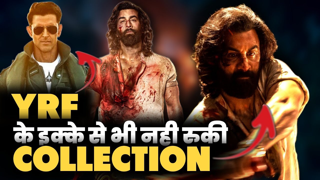 Animal Box Office Collection | YRF | Fighter Teaser | Ranbir Kapoor ...