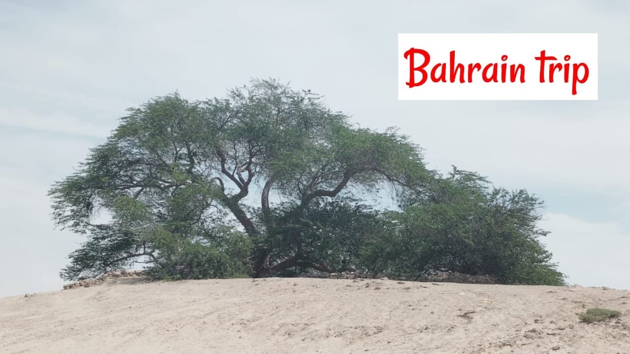 Bahrain trip 3 Marassi Galleria🏬,Al Dhar Islands🏝️,King Fahd Causeway🚗 ...