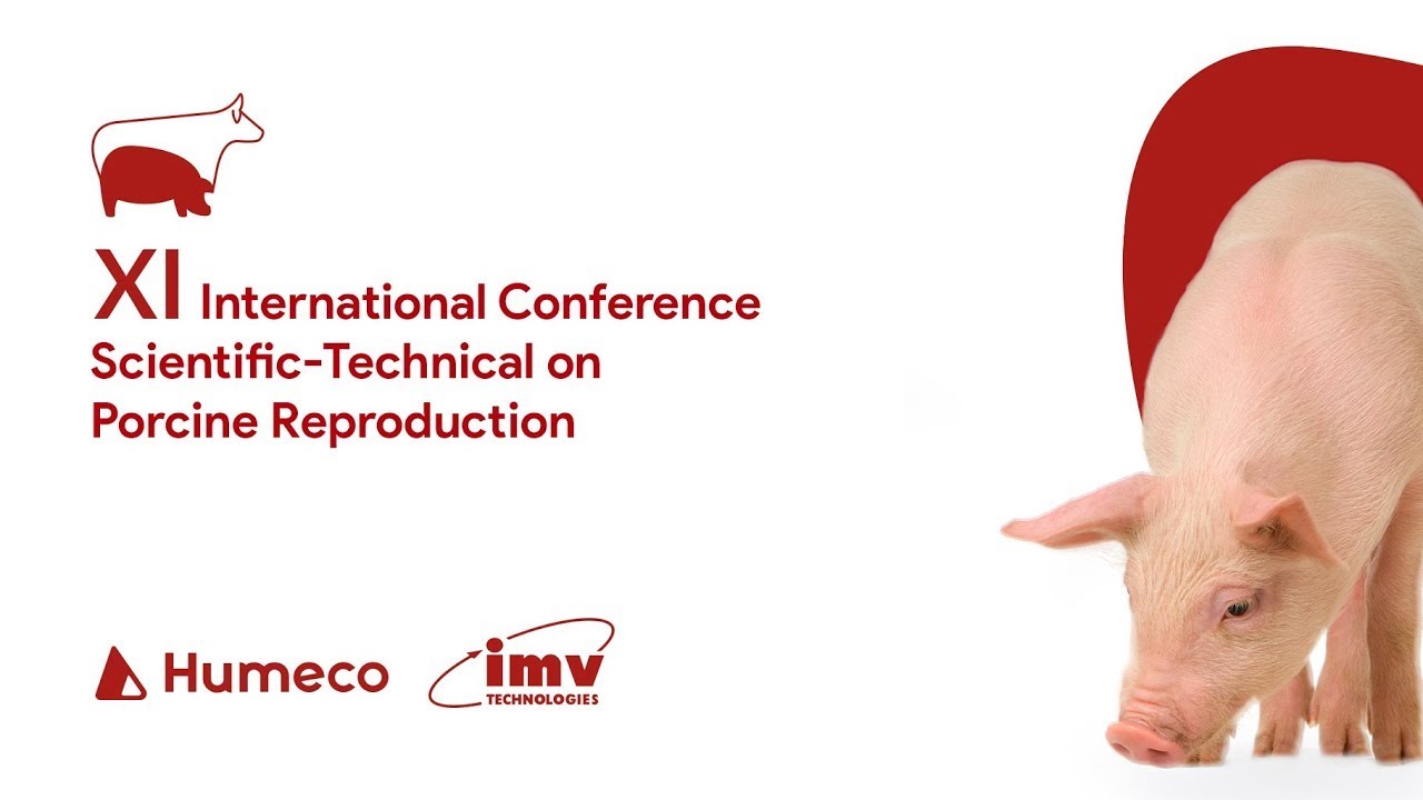XI International Conference Scientific-Technical on Porcine ...