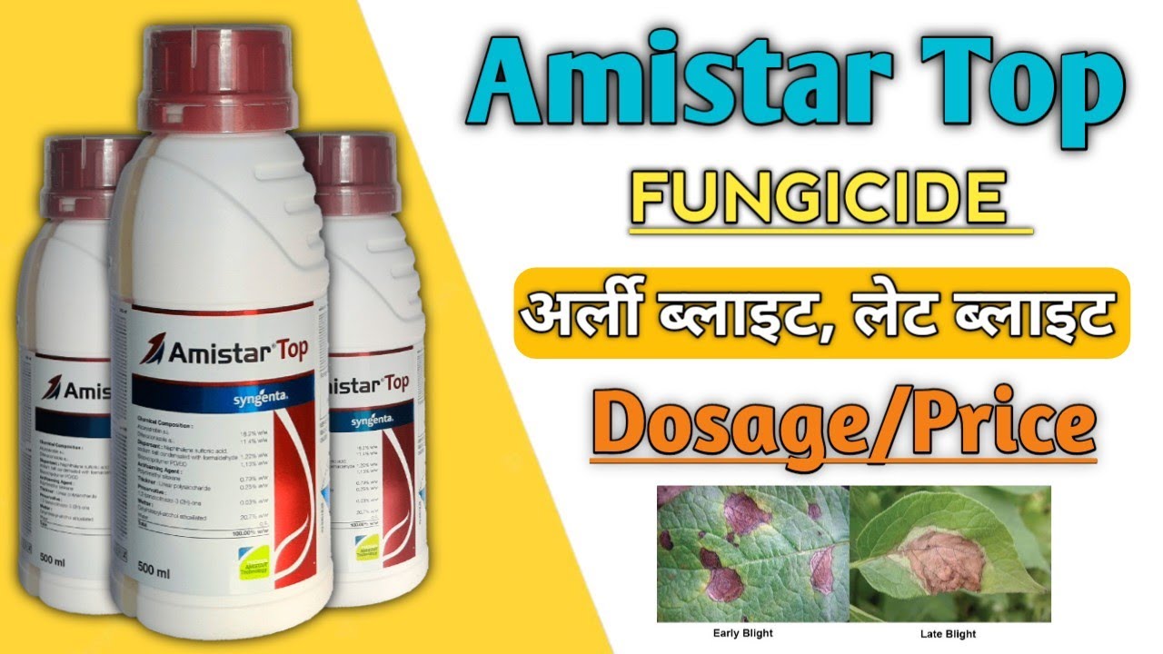amistar top syngenta | amistar top fungicide | #fungicide #syngenta # ...