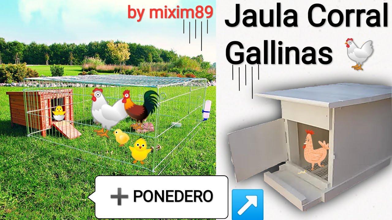⚒️🐔Brico "Construcción jaula y corral para gallinas ponedoras 2" by ...
