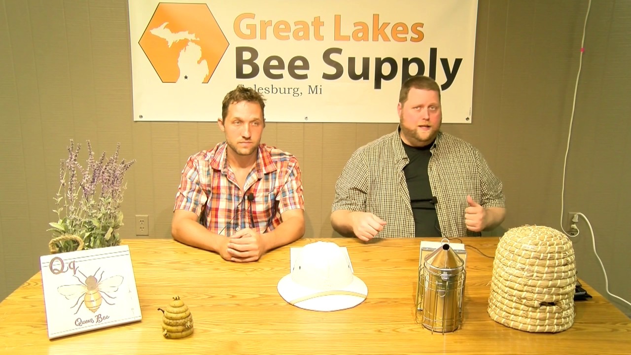 Beekeeping Questions From Viewers Answered #2 - YouTube