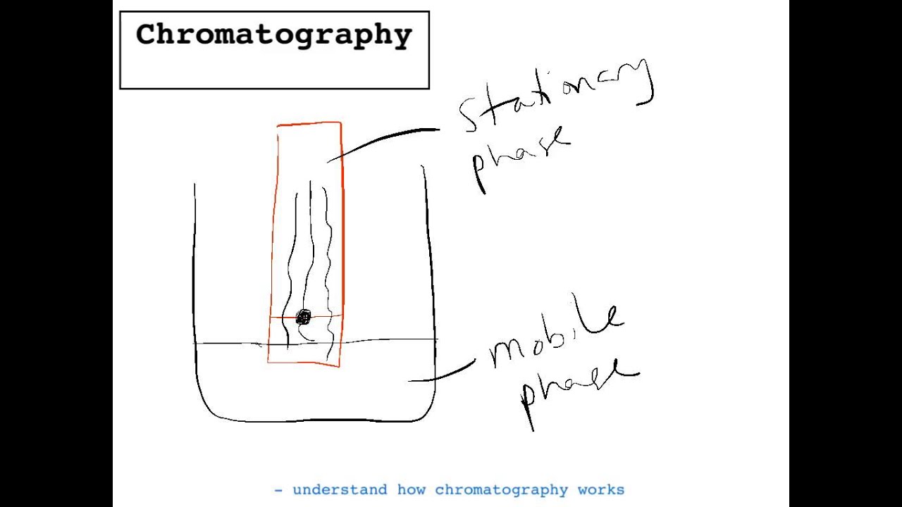 Chromatography - YouTube