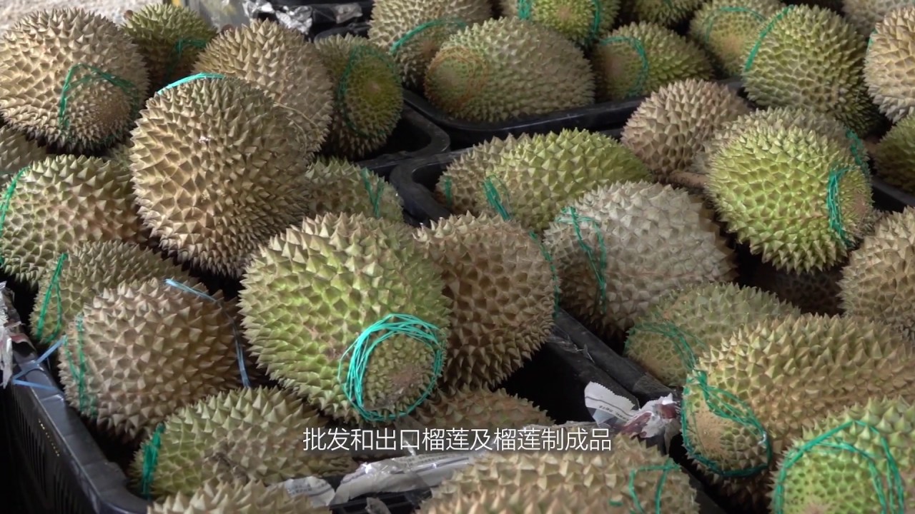 Mun Meng Fruits Corporate Video - YouTube