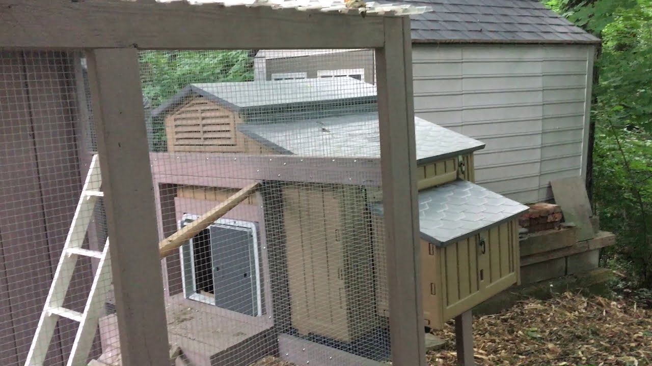 Our Super Low Maintenance Chicken Run! - YouTube