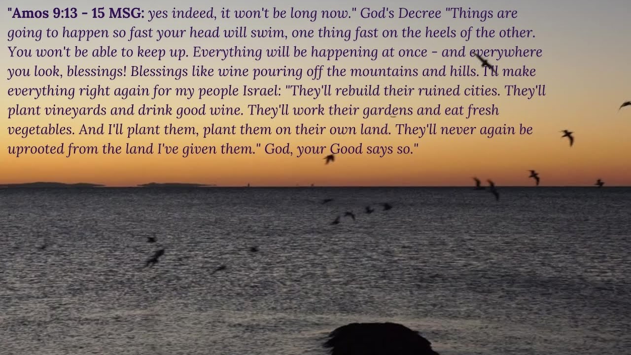 Blessings on Blessings | Syrena Williams Meditation - Amos 9:13-15 (MSG ...