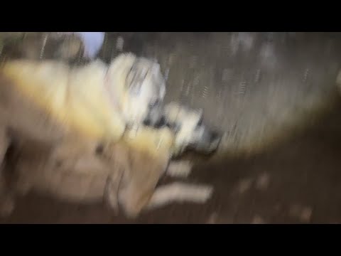 CİNCİ HOCA OLARAK TABİR EDİLEN ZALO CİN ÇIKARMA AİNİNDE SUÇ ÜSTÜ YAKALANDI